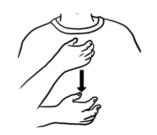 13 Most Popular Baby American Sign Language Signs - Cudoo